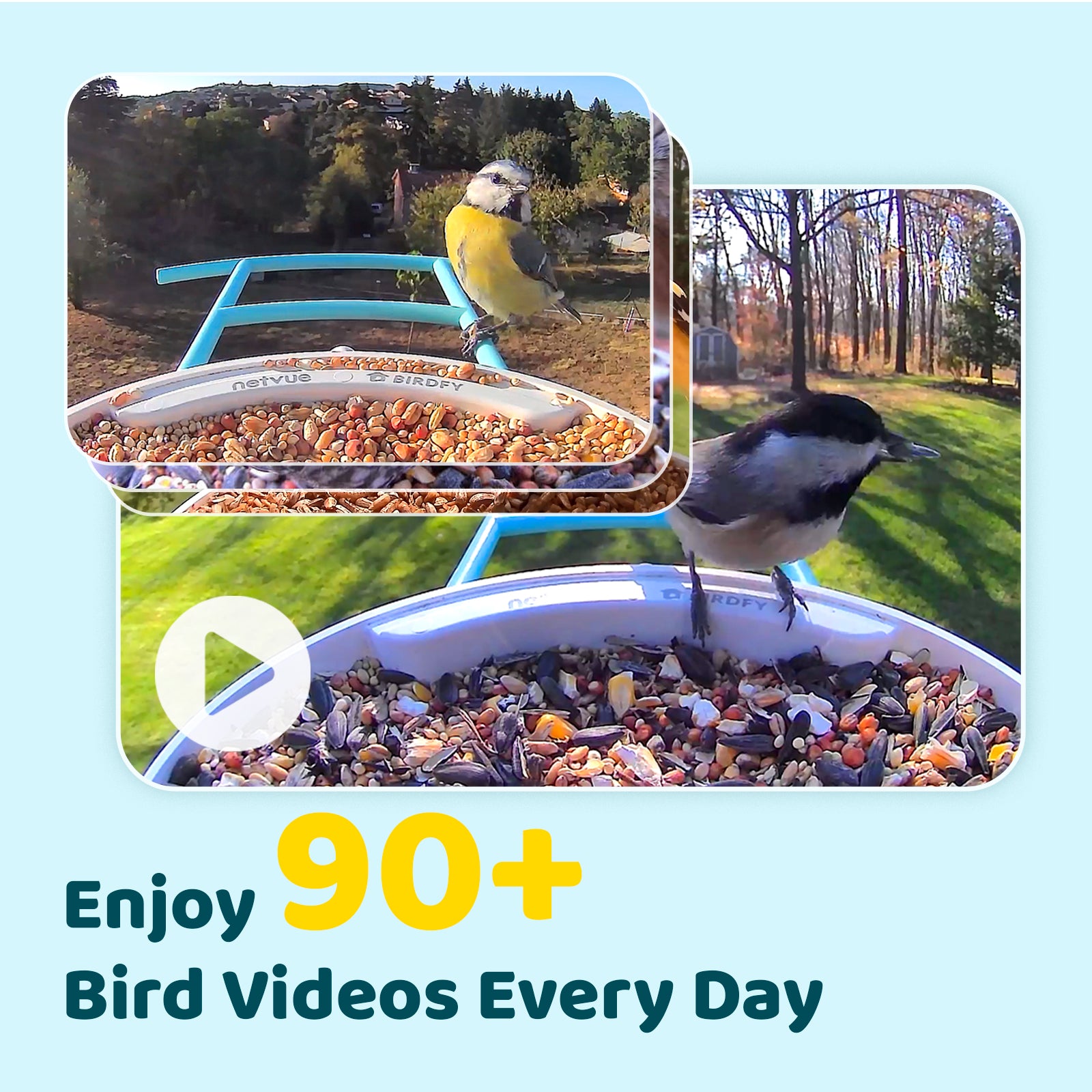 Birdfy Feeder AI Version-Smart Bird Feeder, Auto Record Videos – birdfyuk