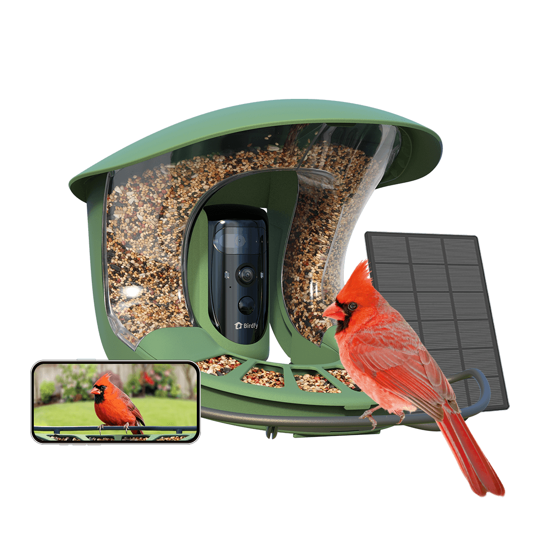 Birdfy Feeder 2 Pro - First-Ever Dual-Lens Smart Bird Feeder In The ...