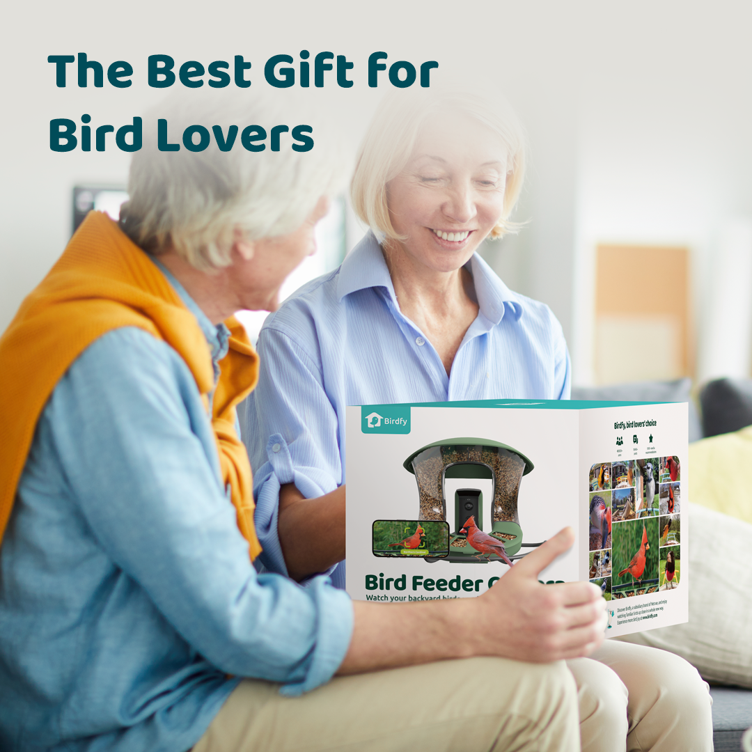 Birdfy Feeder 2 - Nature-Inspired Sleek Design – birdfyuk