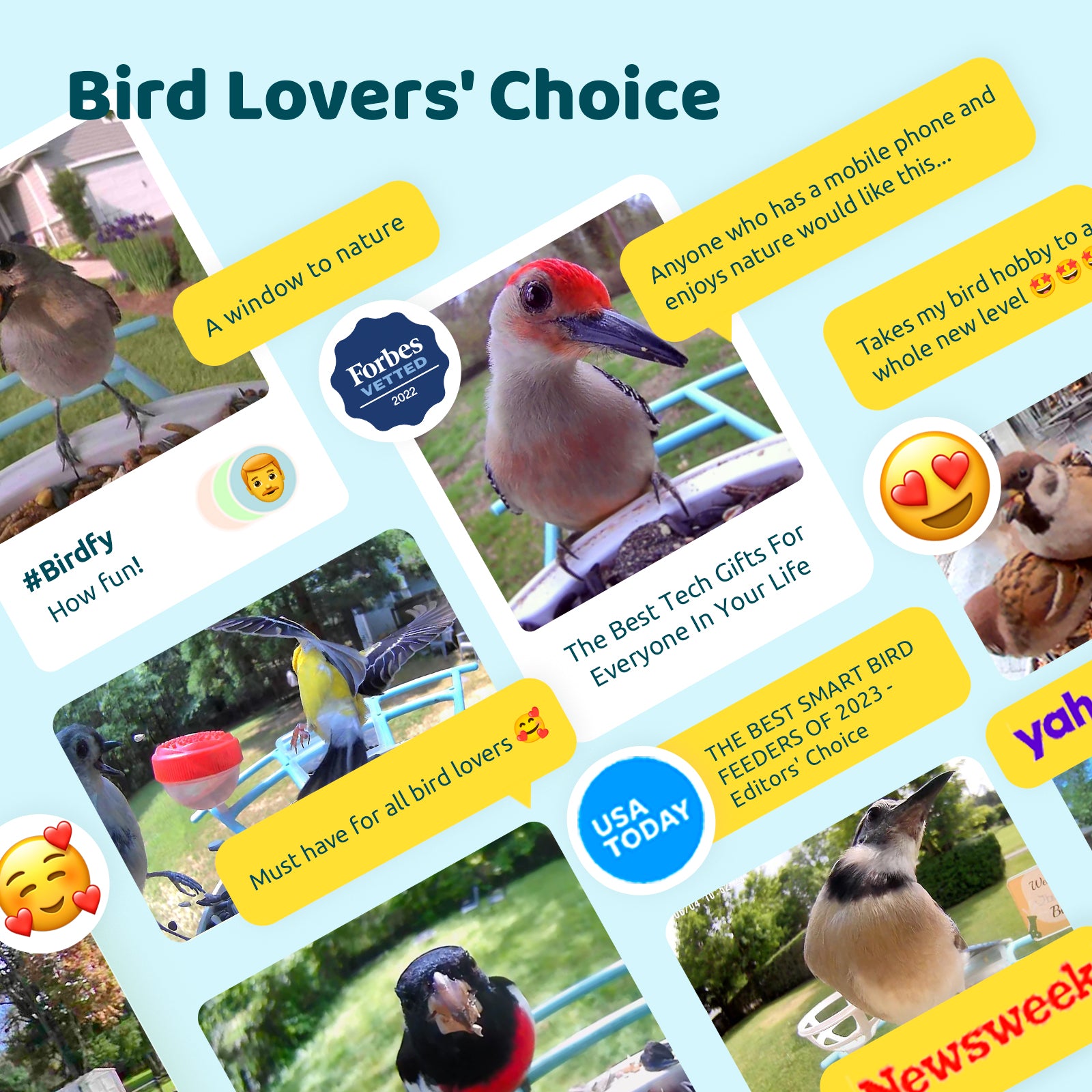 Birdfy Feeder AI Version-Smart Bird Feeder, Auto Record Videos – birdfyuk