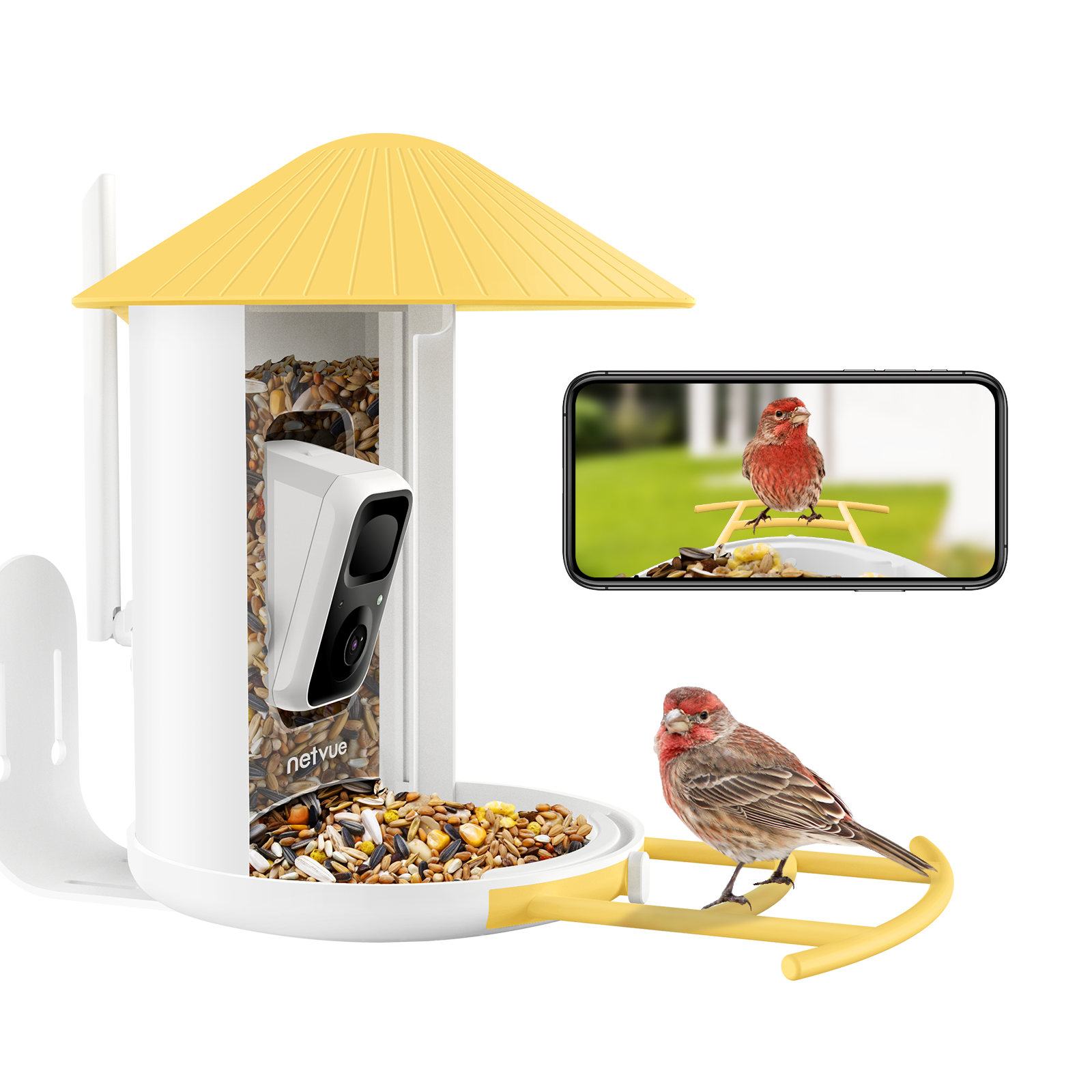 Birdfy Feeder AI Version-Smart Bird Feeder, Auto Record Videos – birdfyuk