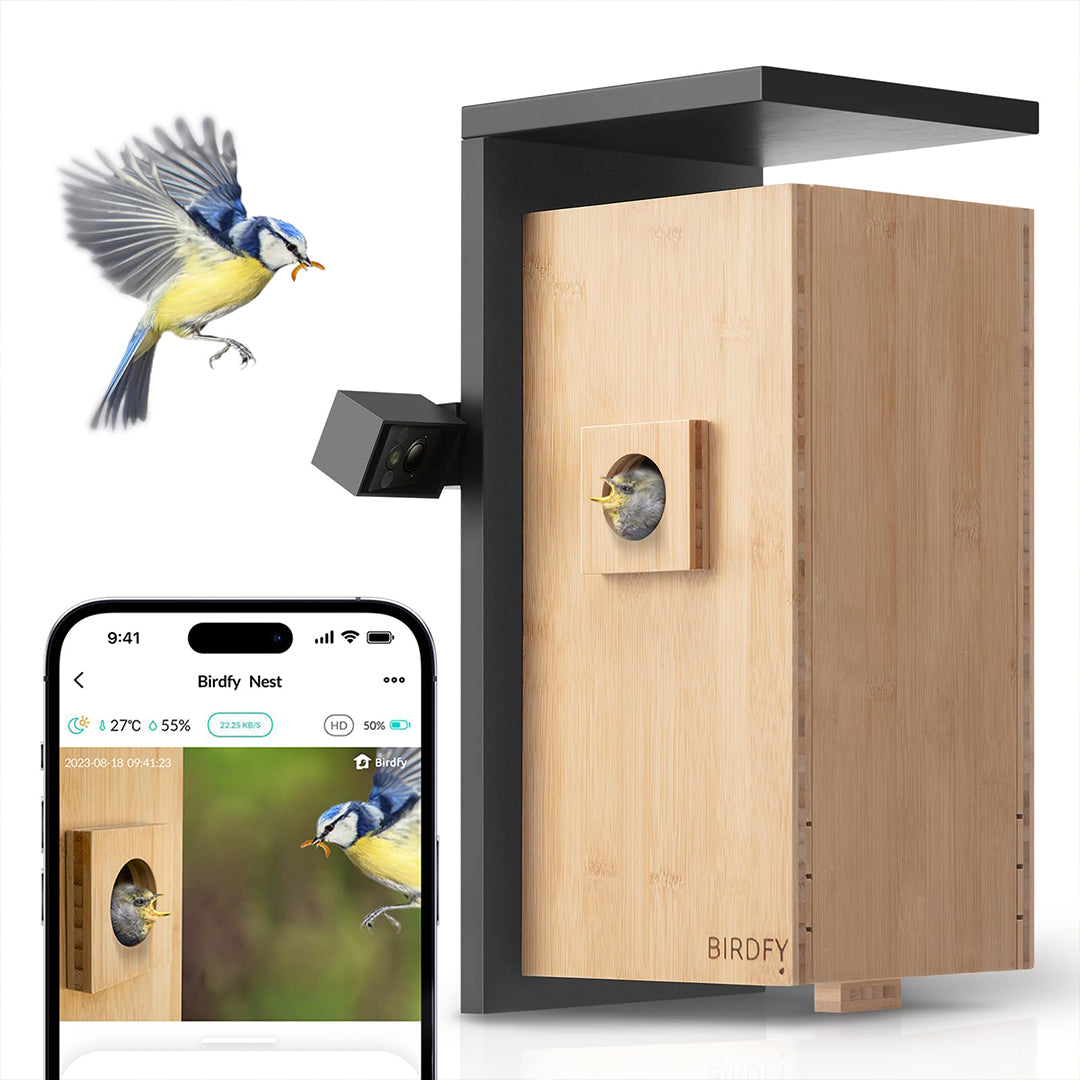 Smart Bird House - Birdfy Nest with Dual Cameras & Auto-Recording ...