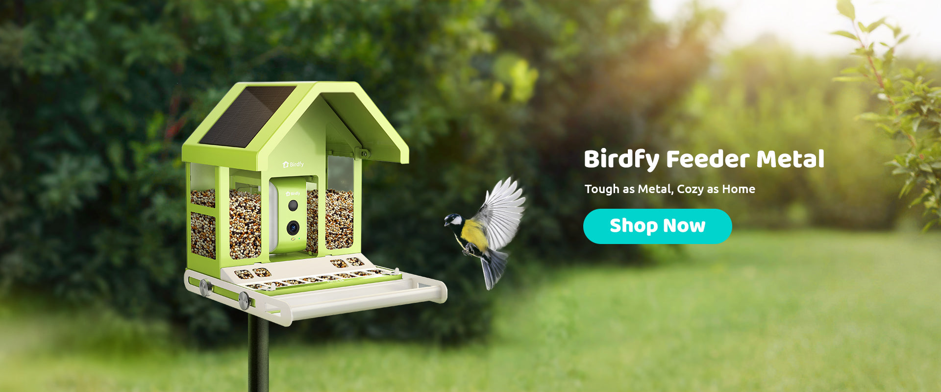 Birdfy United Kingdom Webiste - Smart Bird Feeder Camera – birdfyuk