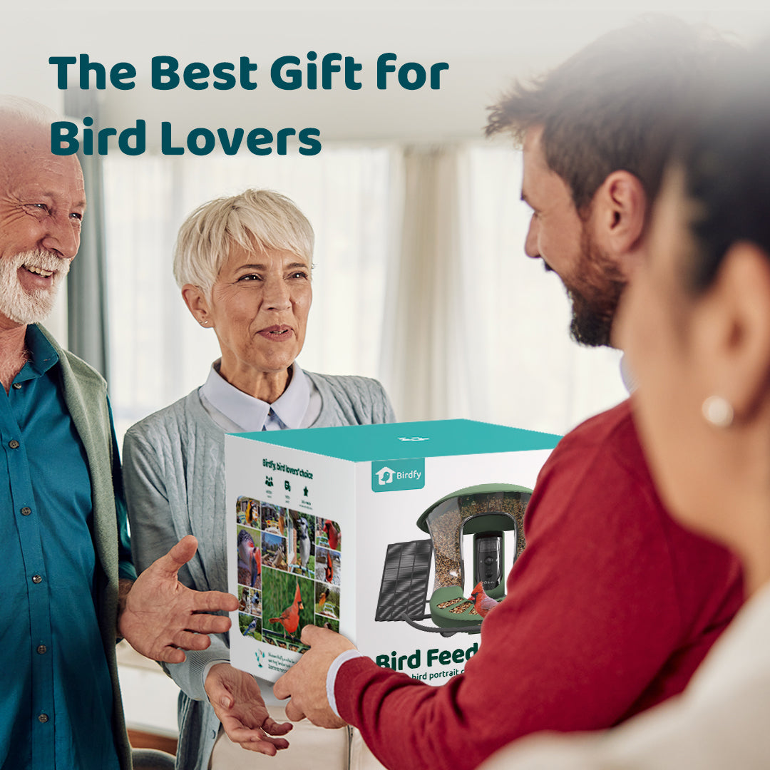 Birdfy Feeder 2 Pro - First-Ever Dual-Lens Smart Bird Feeder In The ...