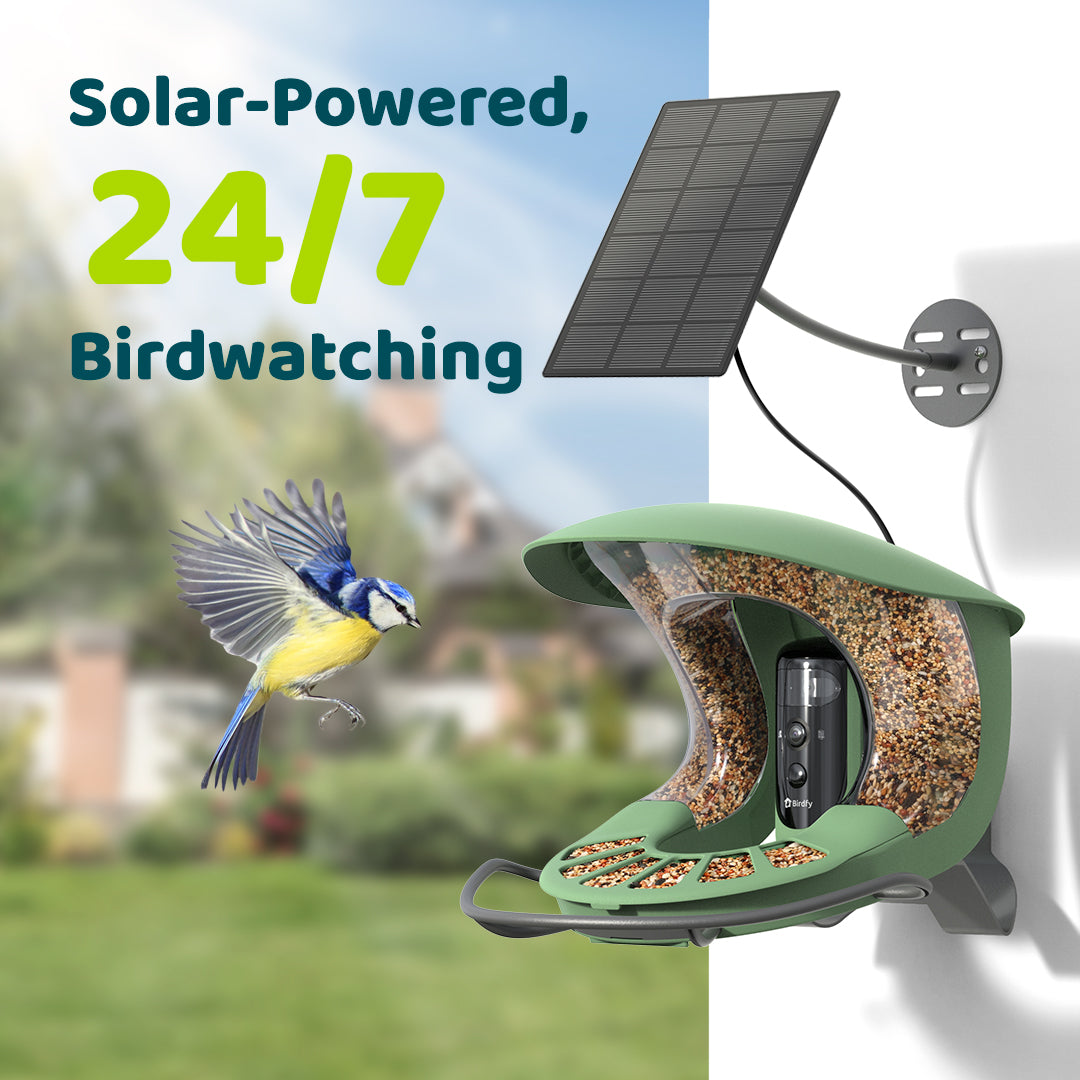 Birdfy Feeder 2 Pro - First-Ever Dual-Lens Smart Bird Feeder In The ...