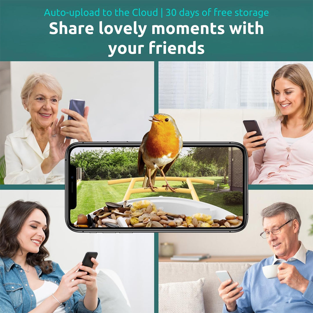 Birdfy United Kingdom Webiste - Smart Bird Feeder Camera – birdfyuk