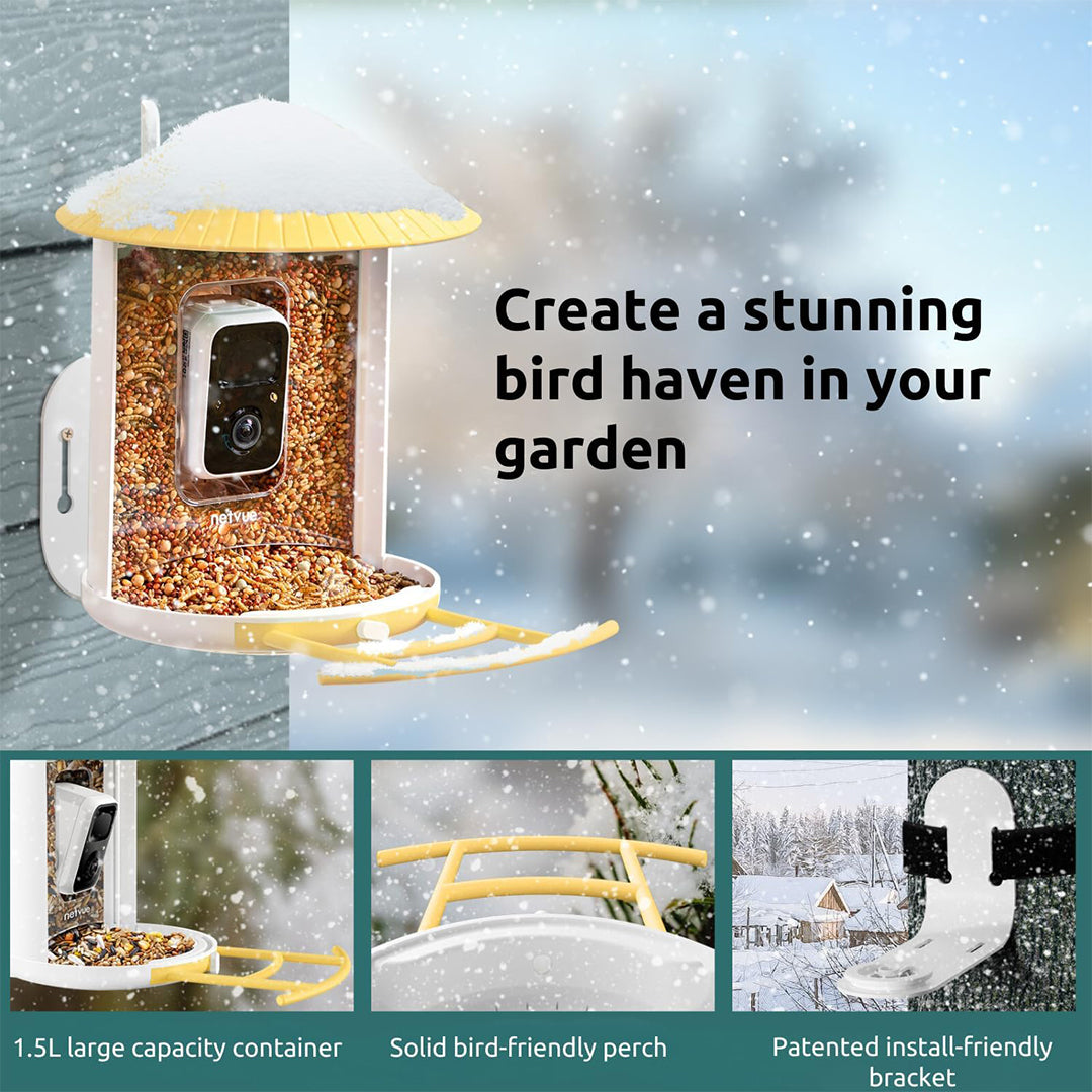 Birdfy United Kingdom Webiste - Smart Bird Feeder Camera – birdfyuk