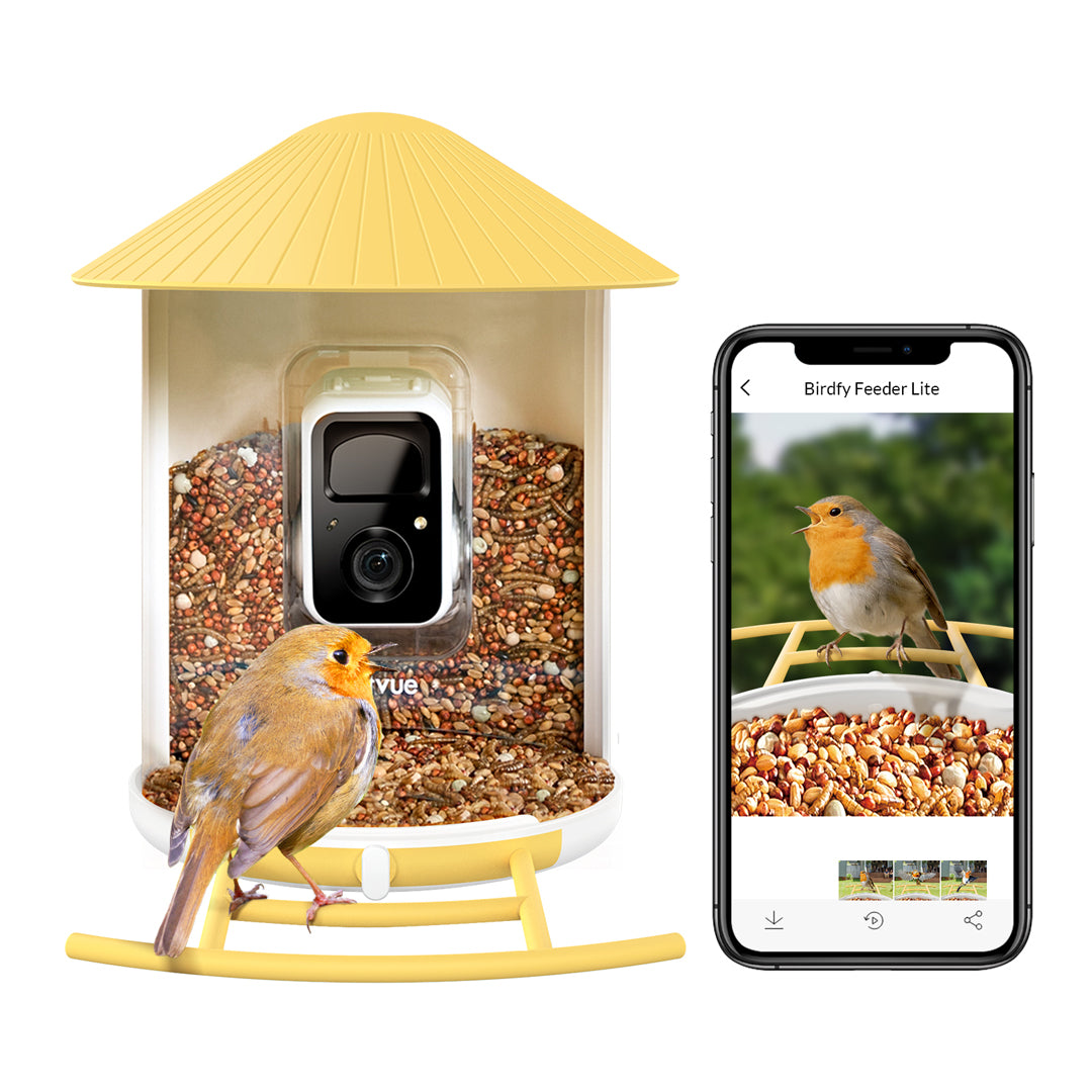 Birdfy Feeder Lite-Smart Bird Feeder, Auto Record Videos – birdfyuk
