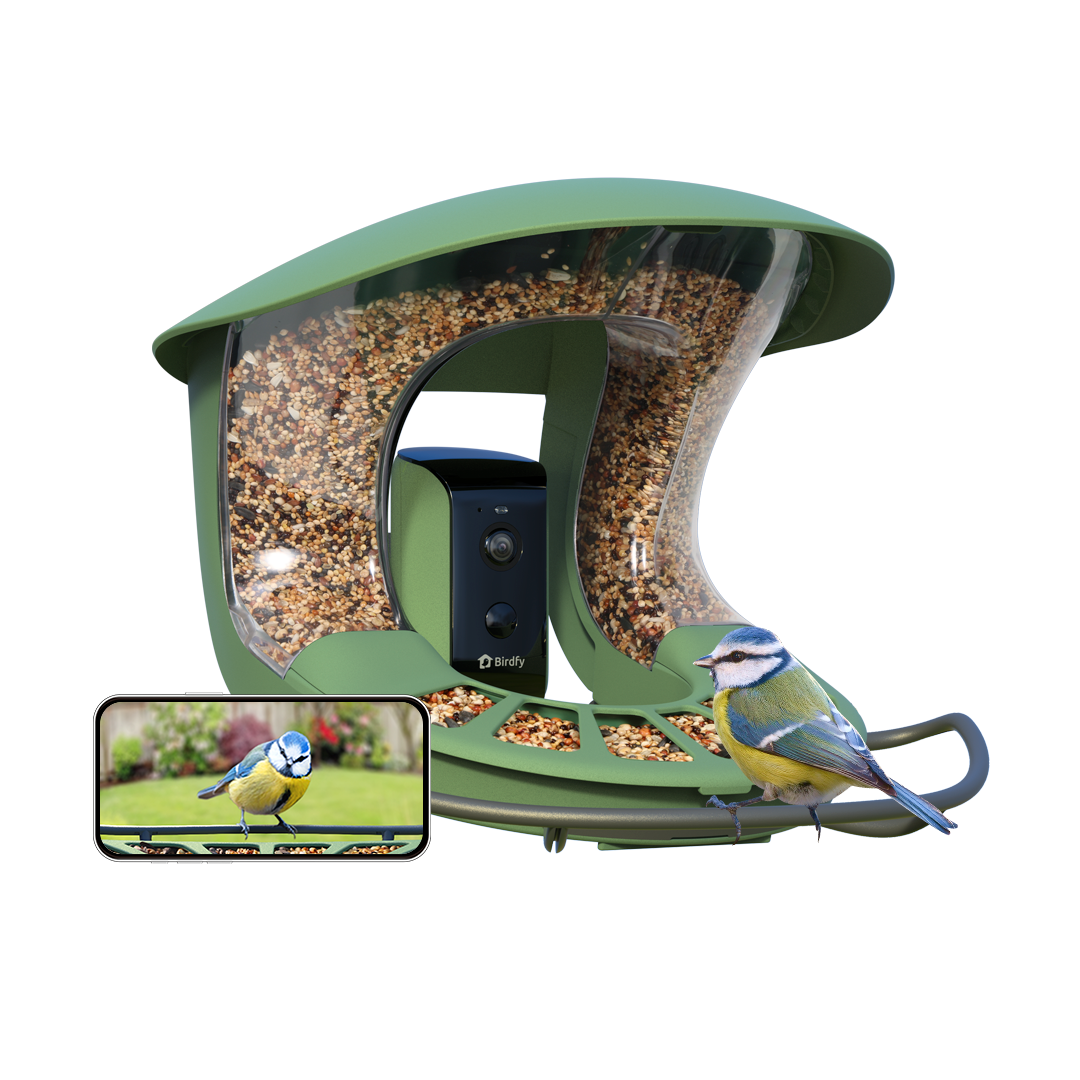 Birdfy Feeder 2 Duo - Ultimate Birdwatching View with 2 Angles – birdfyuk