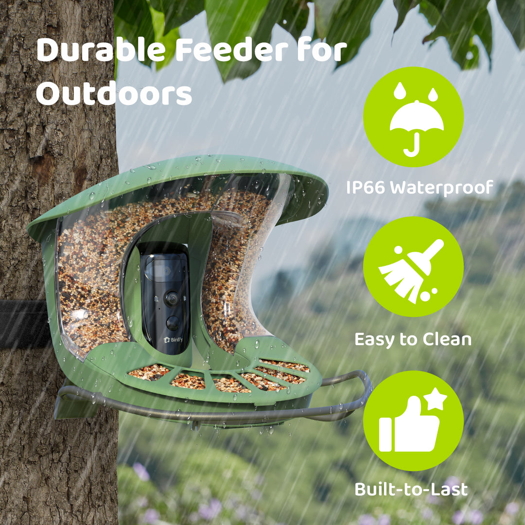Birdfy Feeder 2 Pro - First-Ever Dual-Lens Smart Bird Feeder In The ...