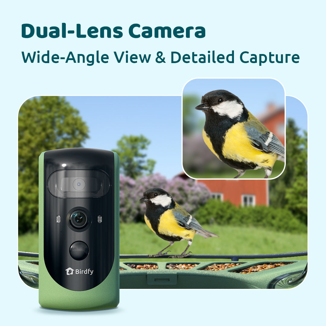 Birdfy Feeder 2 Pro - First-Ever Dual-Lens Smart Bird Feeder In The ...