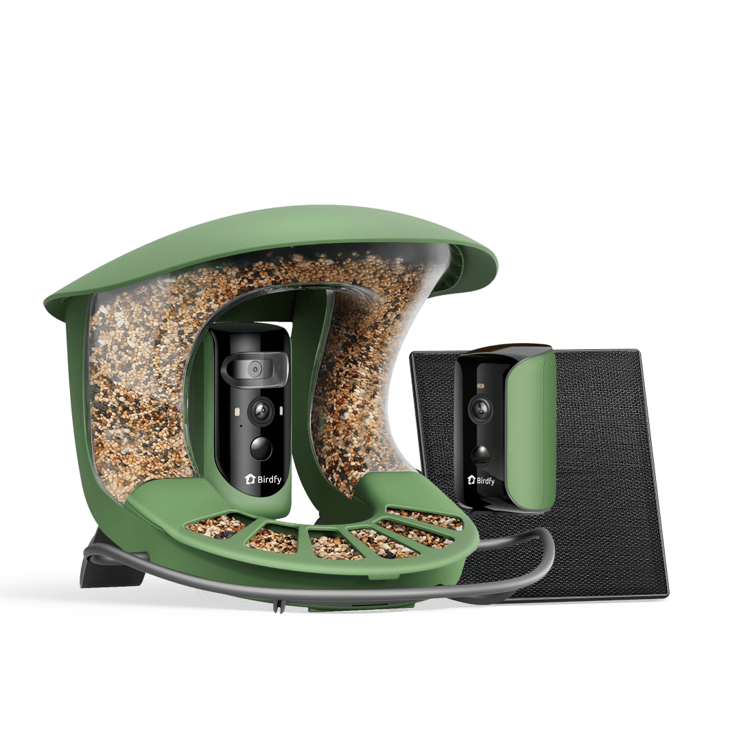Birdfy Feeder 2 Duo - Ultimate Birdwatching View with 2 Angles – birdfyuk