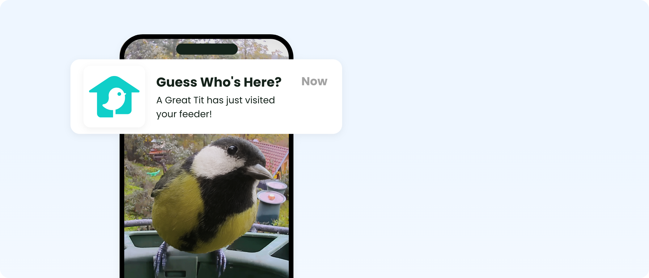 Birdfy UK | The Ultimate Smart Bird Feeder Camera with AI – birdfyuk