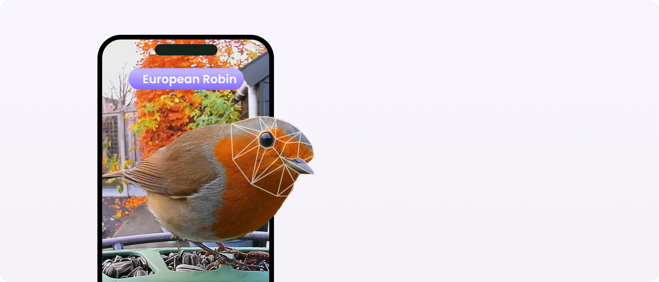 Birdfy UK | The Ultimate Smart Bird Feeder Camera with AI – birdfyuk