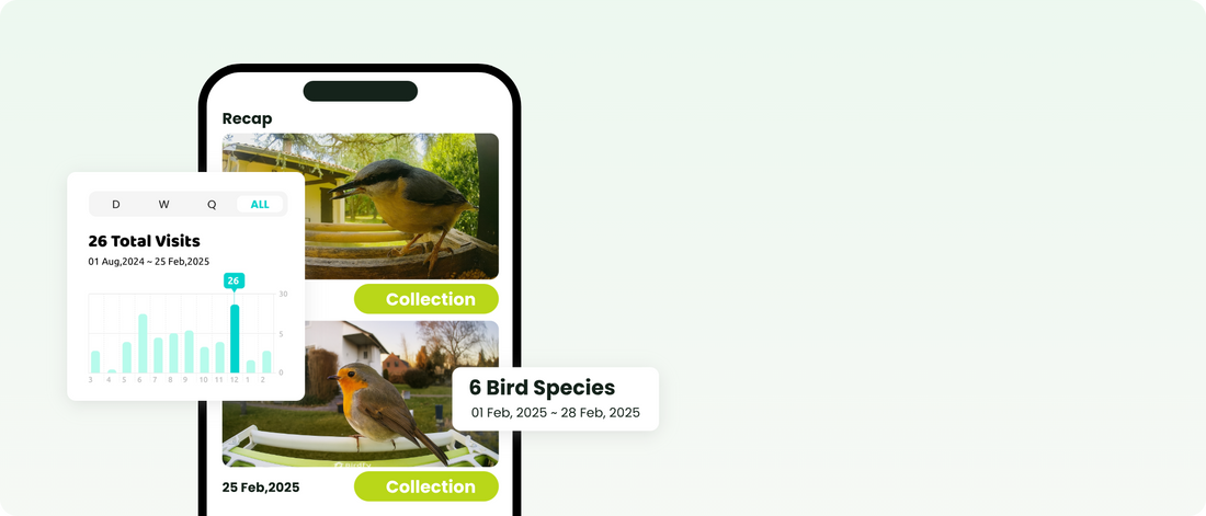 Birdfy UK | The Ultimate Smart Bird Feeder Camera with AI – birdfyuk